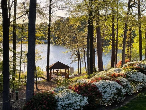The Point at Lake Jeanette | Lambeth Management & Realty, Inc.
