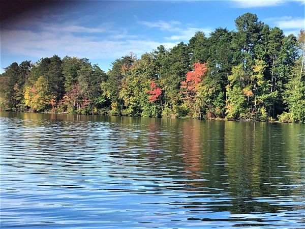 The Point at Lake Jeanette | Lambeth Management & Realty, Inc.